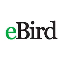 What are the Best Free Birdwatching Apps? | Birda
