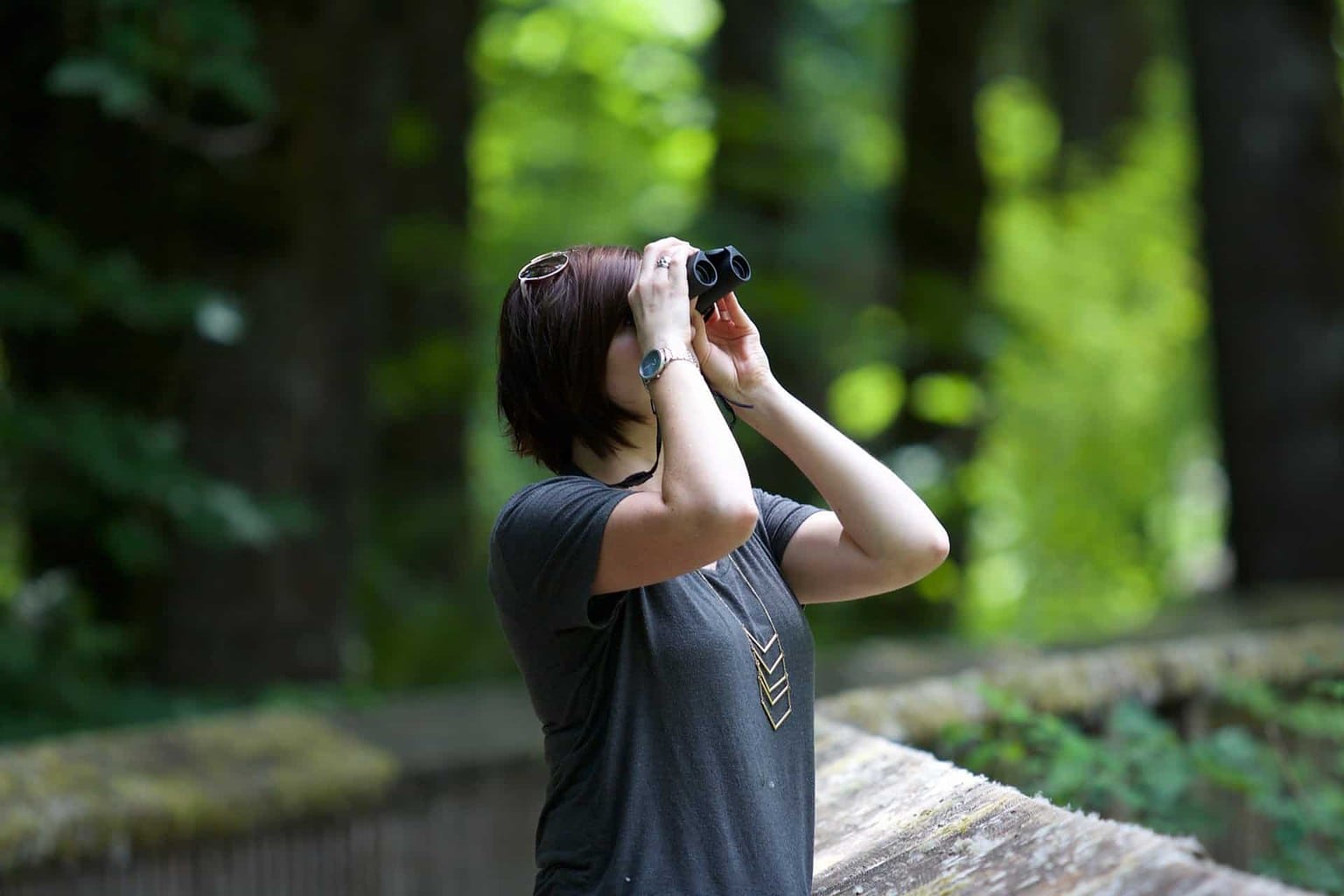 The Top 10 Birdwatching Parks in the USA In 2023