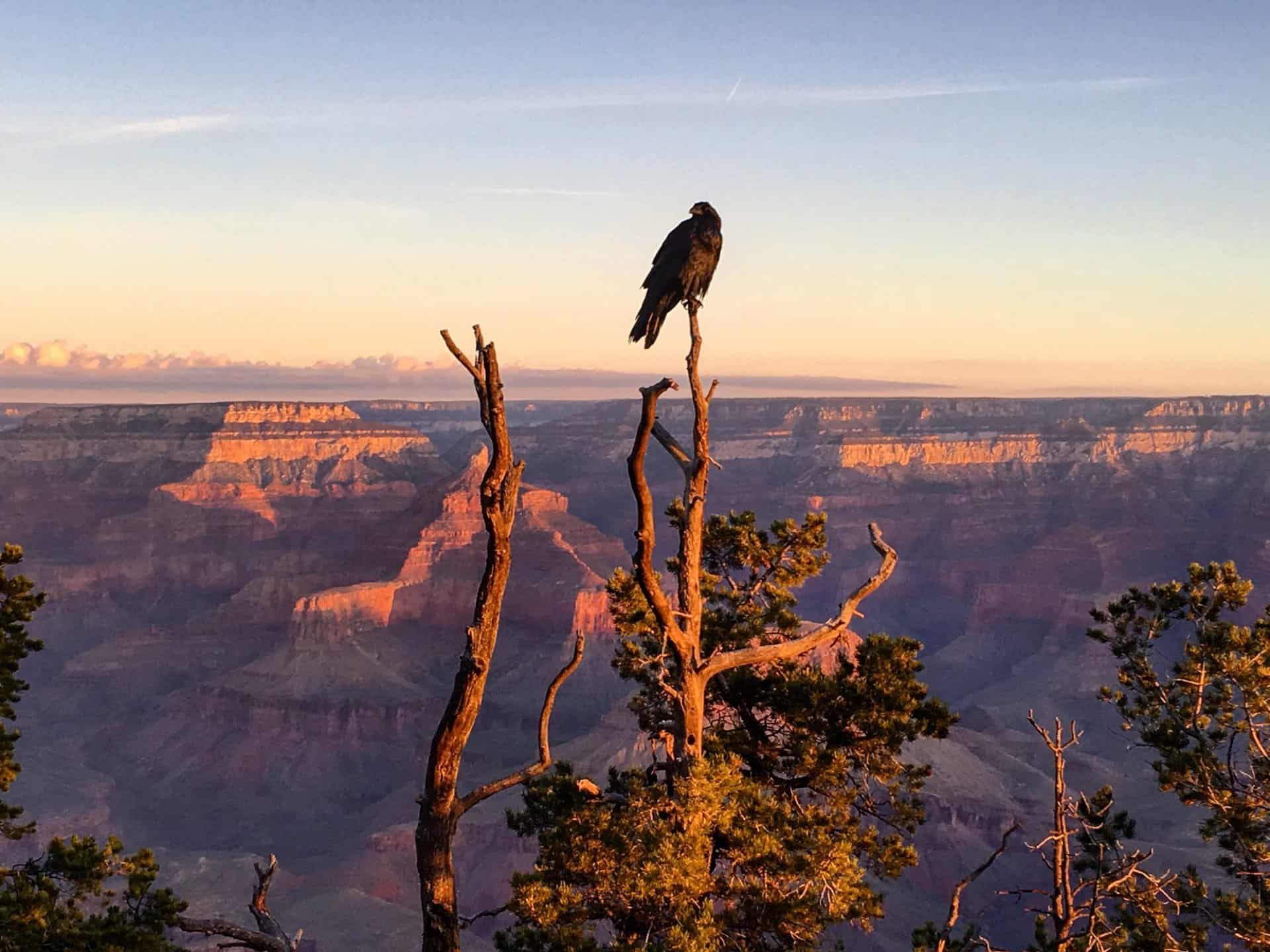 The Top 10 Birdwatching Parks in the USA In 2023