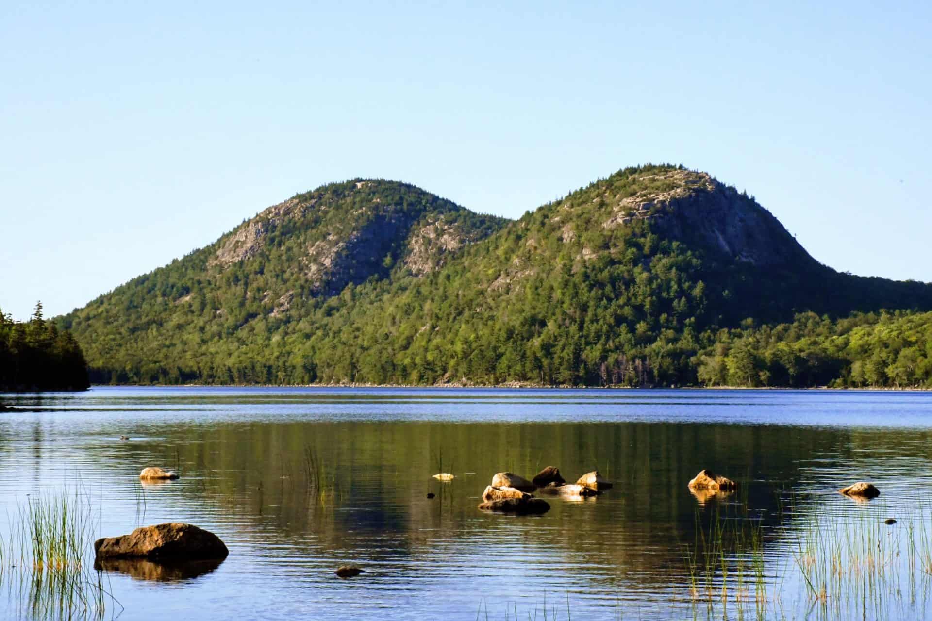 The Top 10 Birdwatching Parks in the USA In 2023