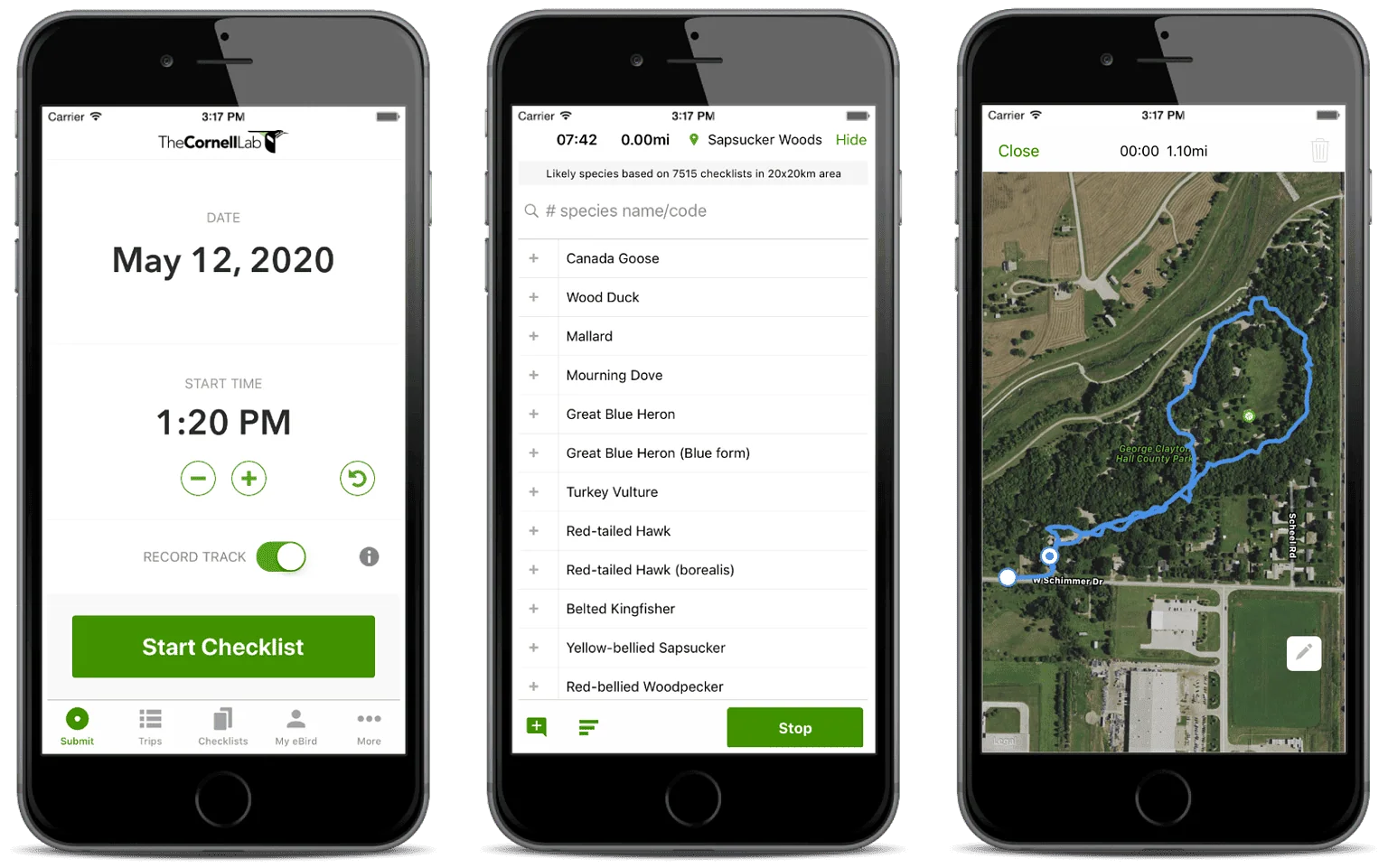 11 Of The Best Birdwatching Apps In The UK | Birda