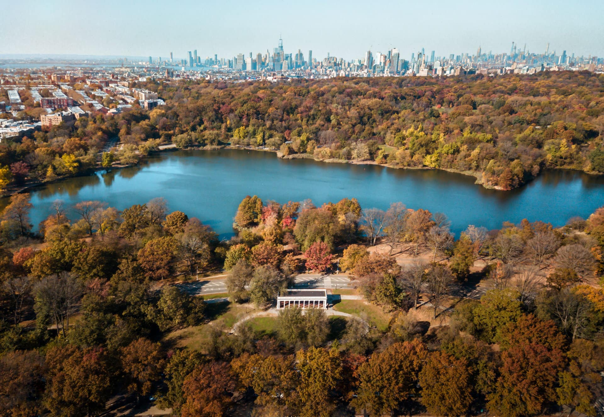 Birding in New York City - Birda