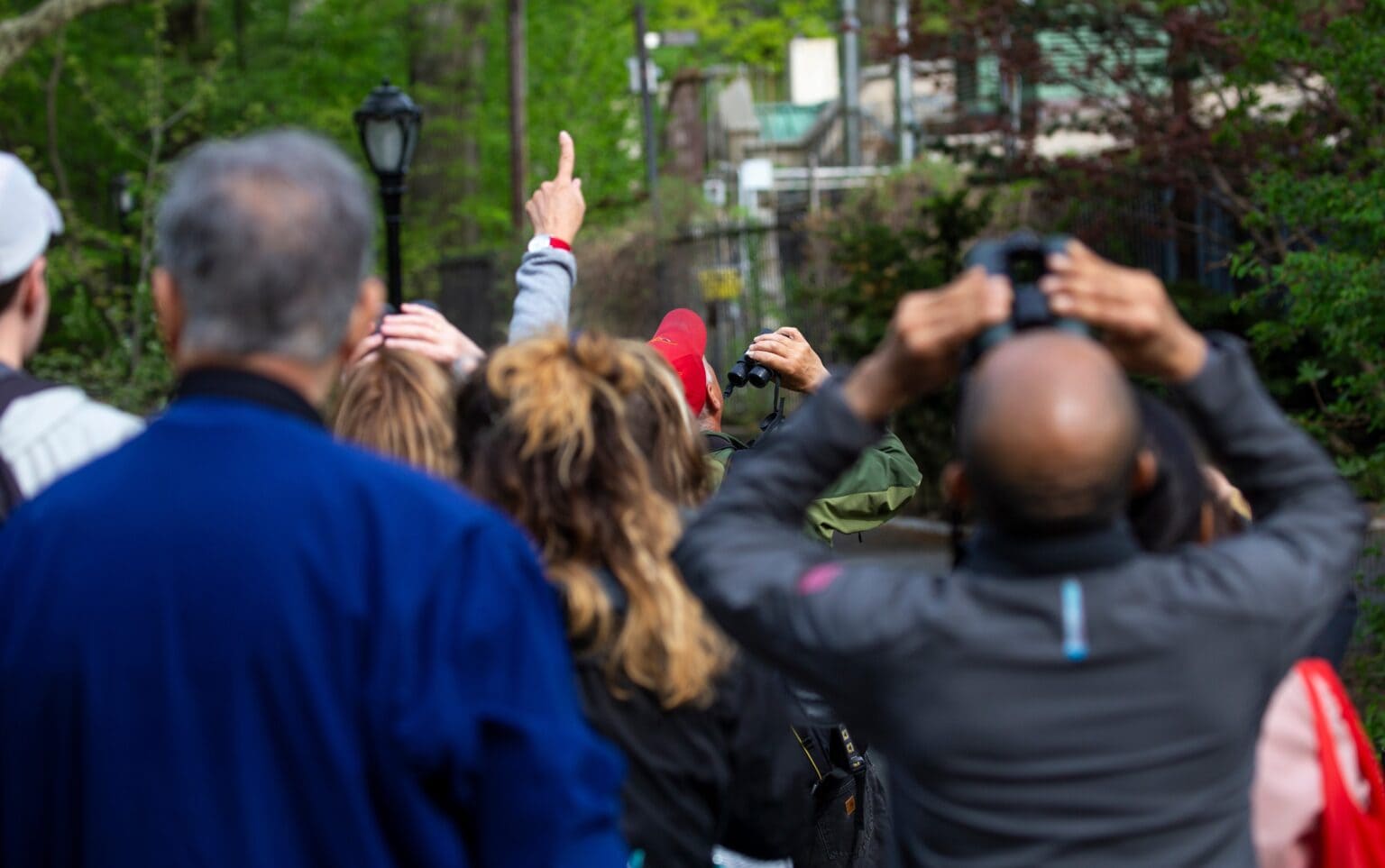 Birding in New York City - Birda