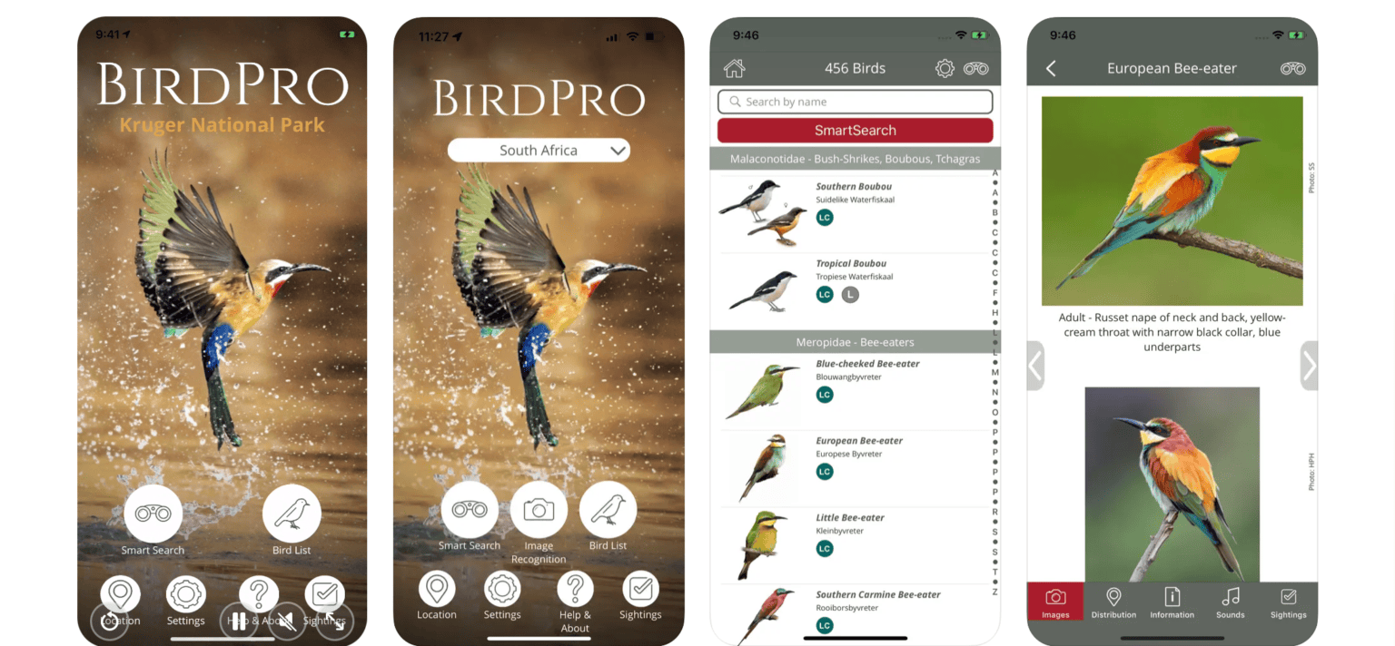 5 of the Best Birdwatching Apps in South Africa (2025 Guide) - Birda