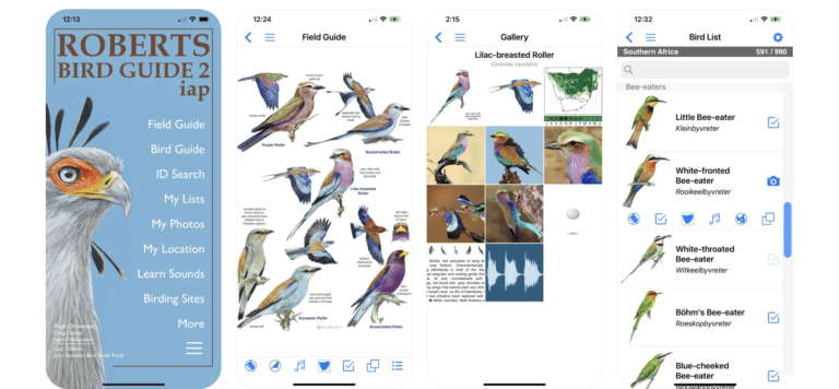 5 of the Best Birdwatching Apps in South Africa (2025 Guide) - Birda