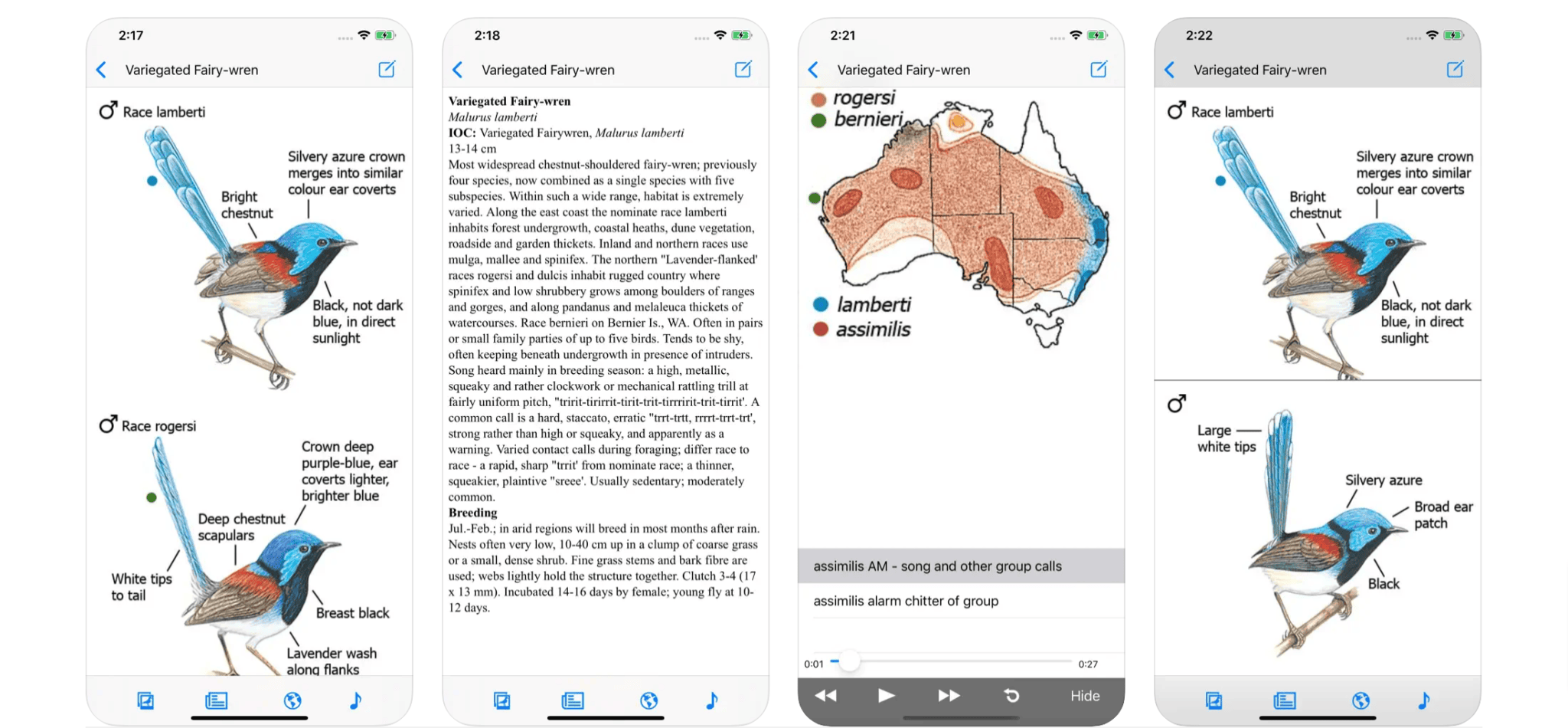 9 of the Best Birdwatching Apps in Australia | Birda