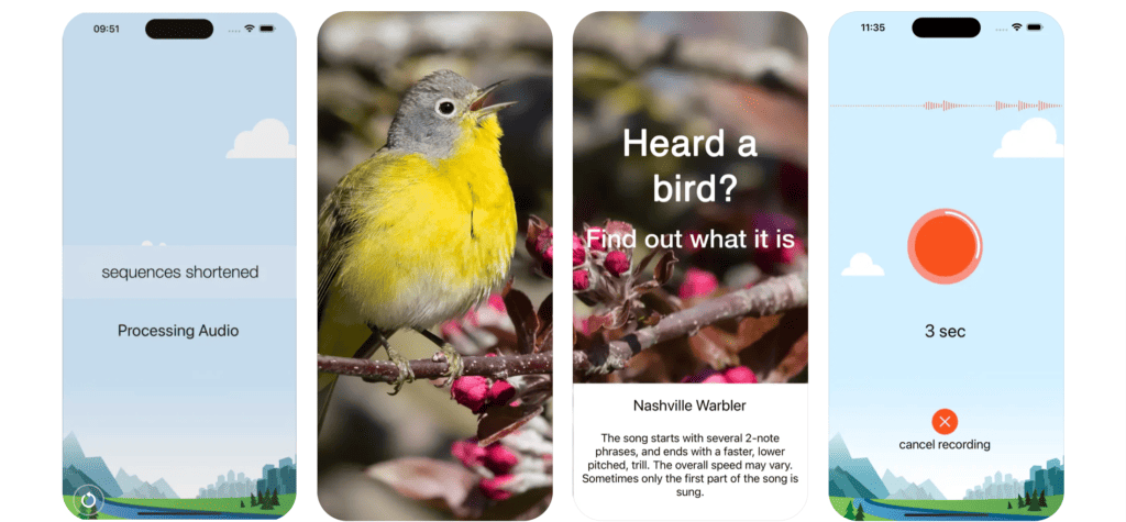 12 of the Best Birdwatching Apps in the USA | Birda
