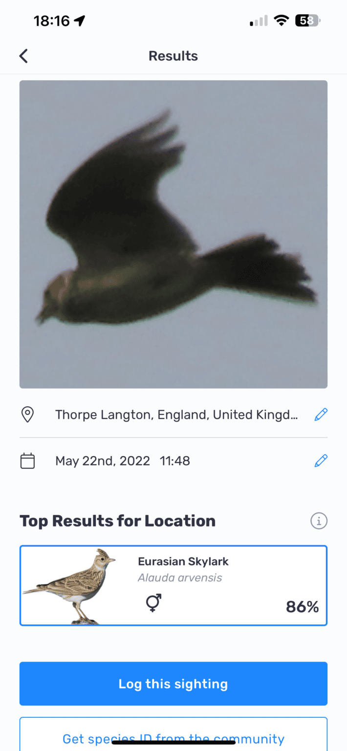 Accurate Bird Identification by Photo, in just 4 Steps - Birda