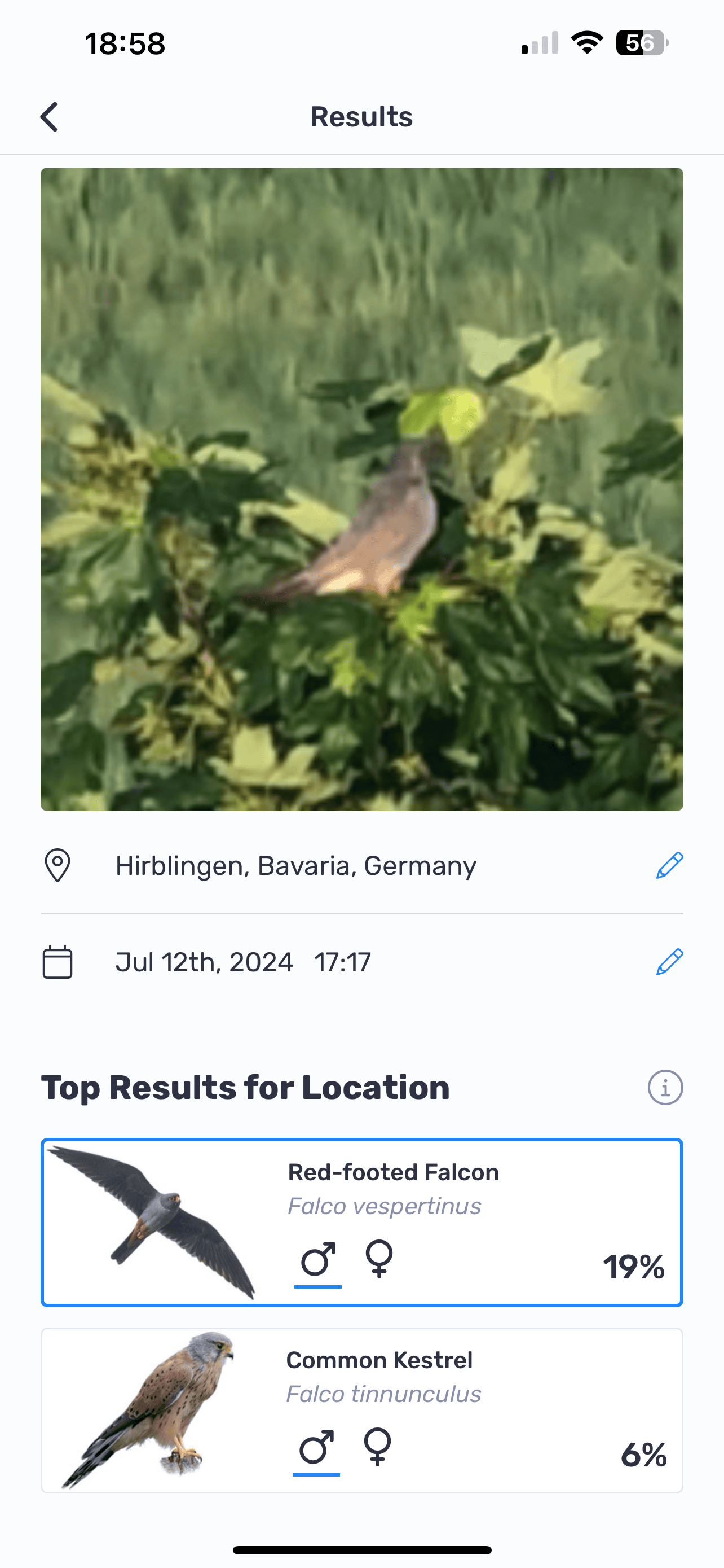 Accurate Bird Identification by Photo, in just 4 Steps - Birda