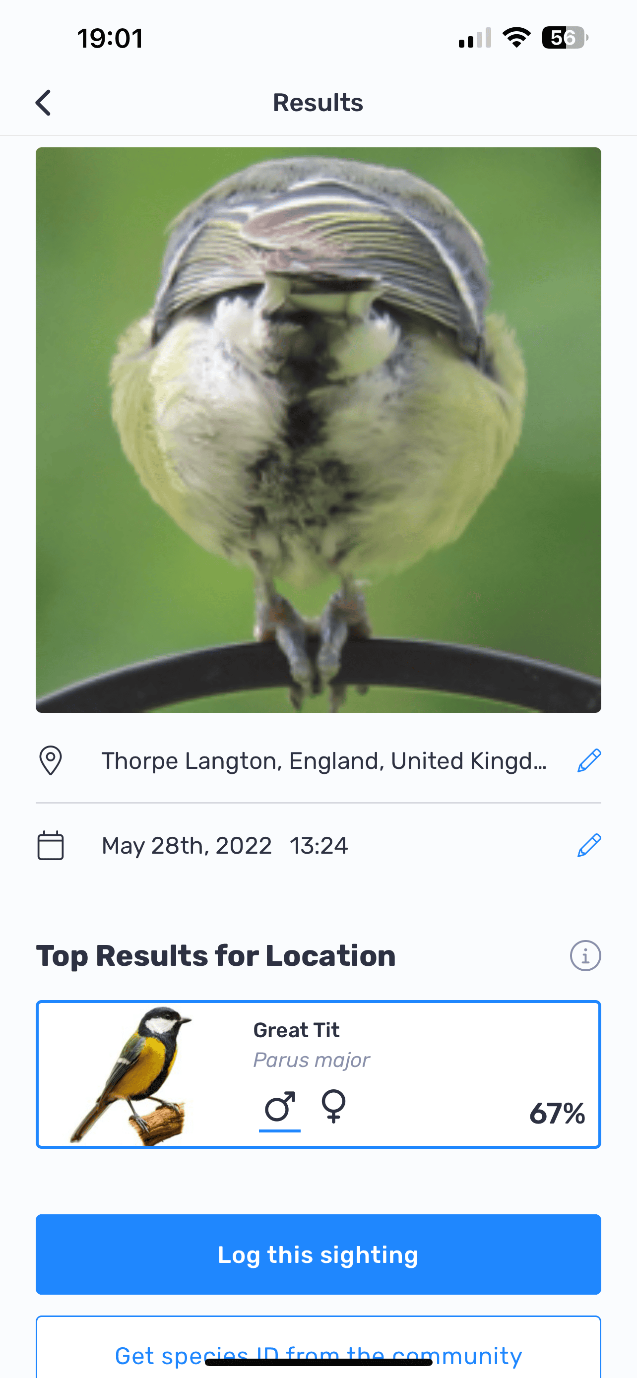 Accurate Bird Identification by Photo, in just 4 Steps - Birda