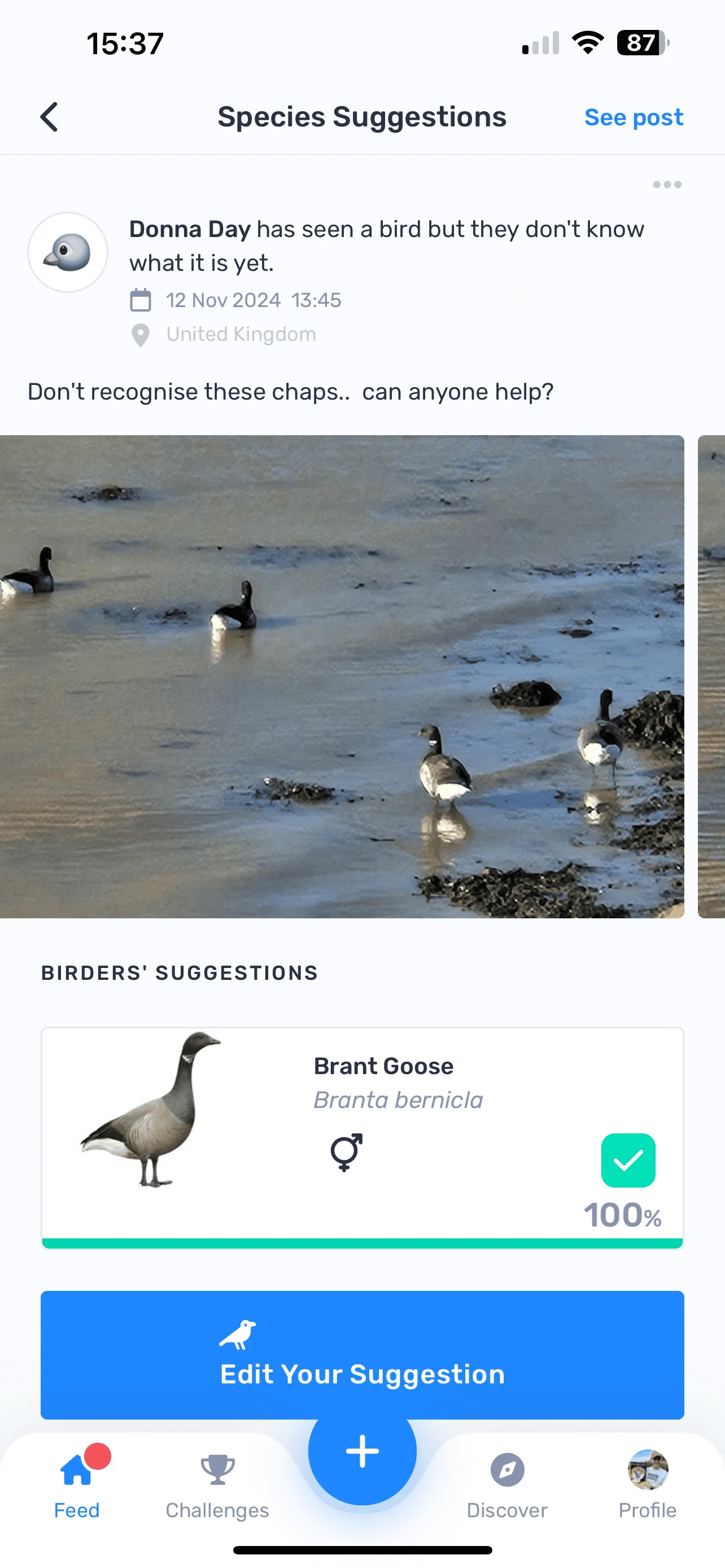 Accurate Bird Identification by Photo, in just 4 Steps - Birda