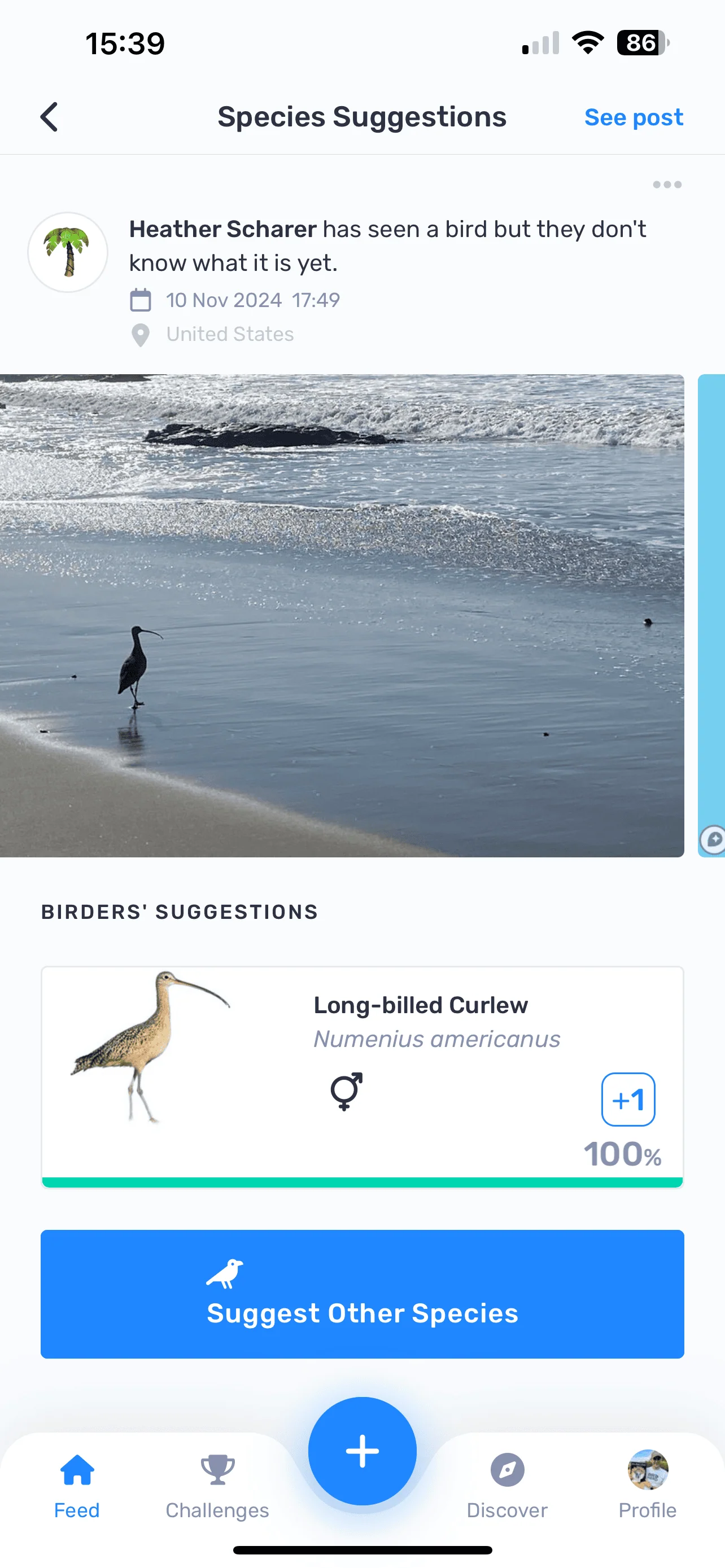 Accurate Bird Identification by Photo, in just 4 Steps - Birda