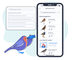 Bird Identification App - Identify Birds with AI or a Field Guide | Birda